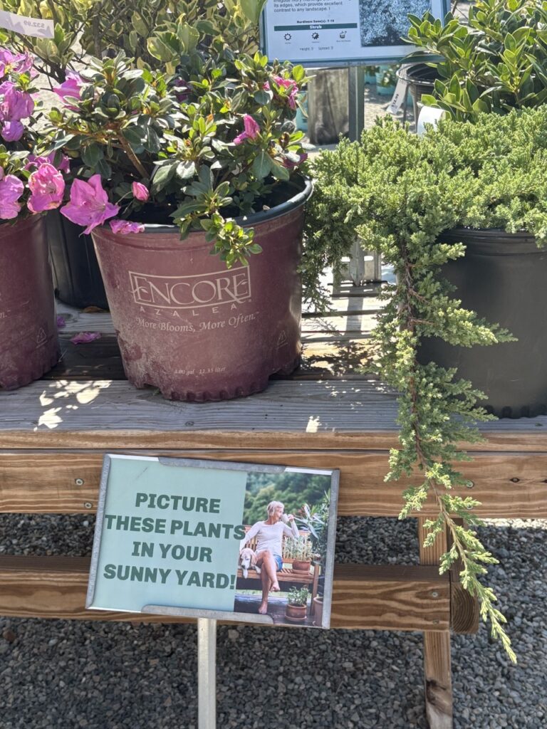 Signage - Lawn & Garden Retailer