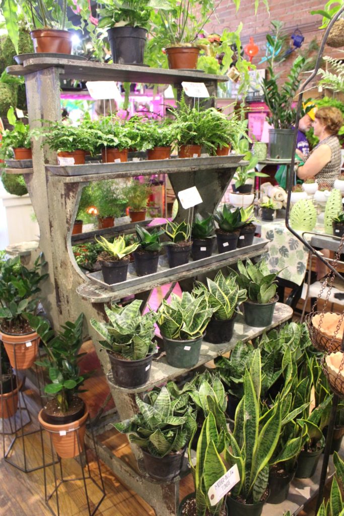 Green Goods - Lawn & Garden Retailer