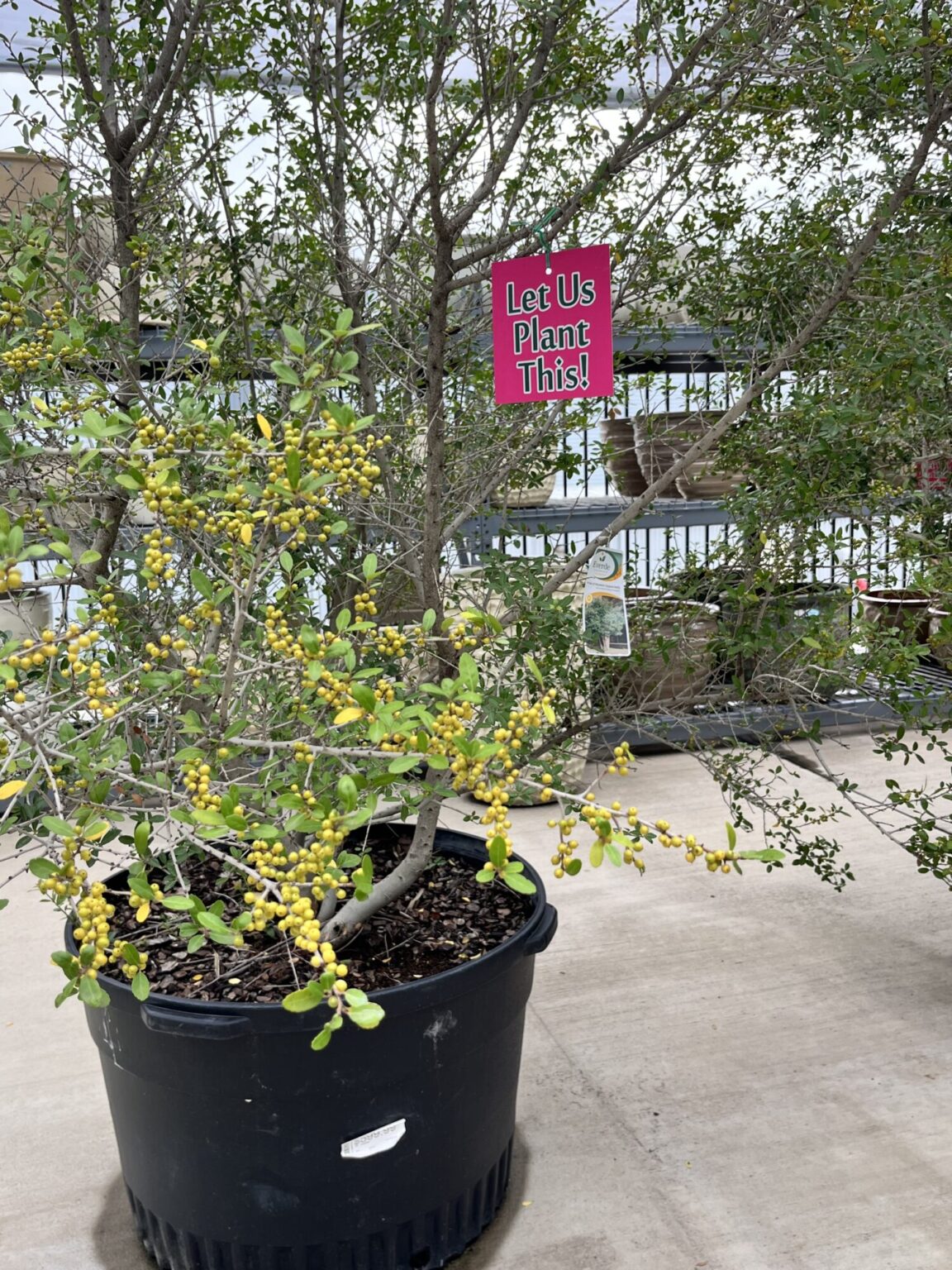 Signage - Lawn & Garden Retailer