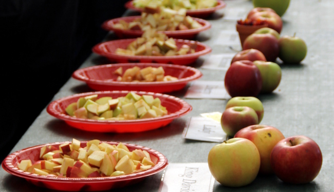 Apple Tasting - Lawn & Garden Retailer