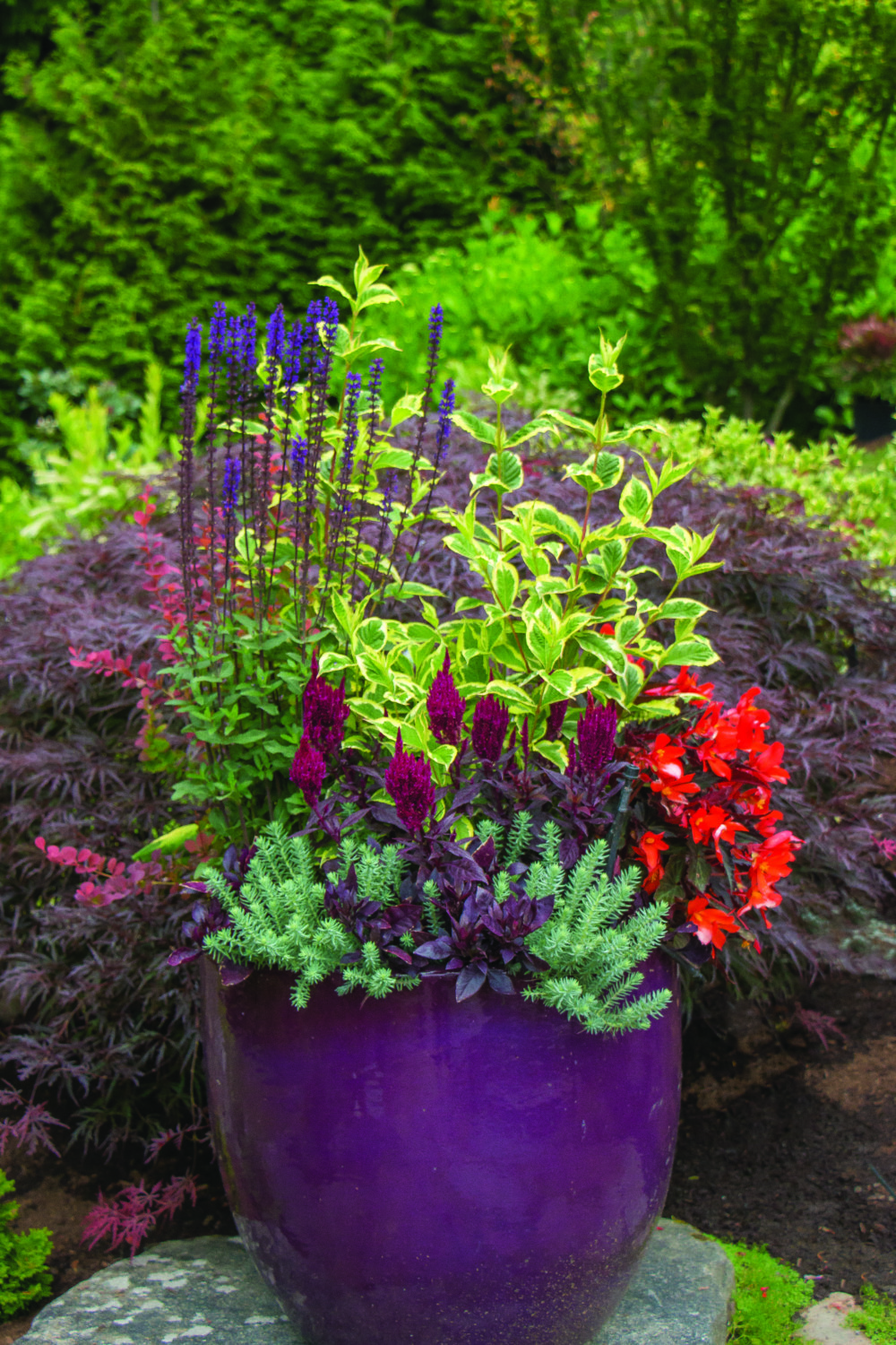 Deciphering the Color Code for More Sales - Lawn & Garden Retailer