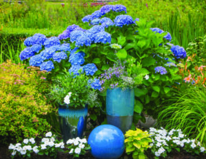 Deciphering the Color Code for More Sales - Lawn & Garden Retailer