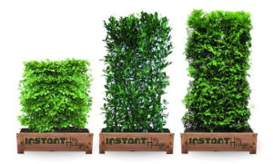 Instant Hedges - Lawn & Garden Retailer