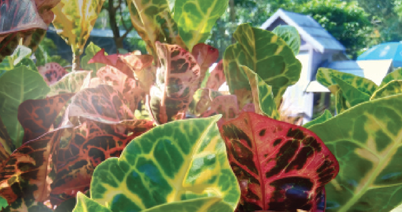 5 Minutes With … Bob Berbee - Lawn & Garden Retailer