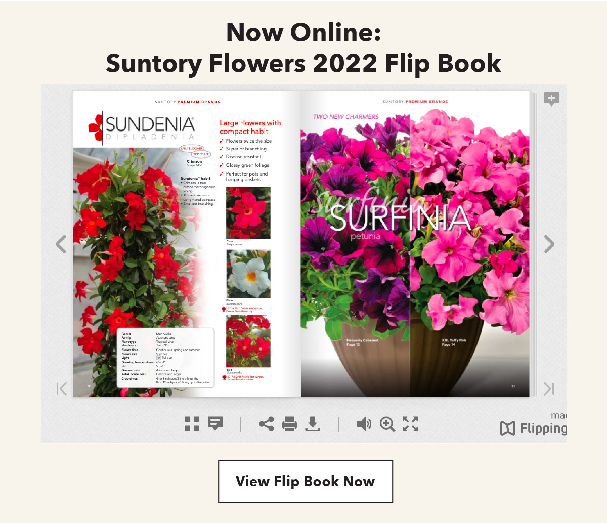 Digital Catalog from Suntory Flowers Highlights 2022 New Introductions ...