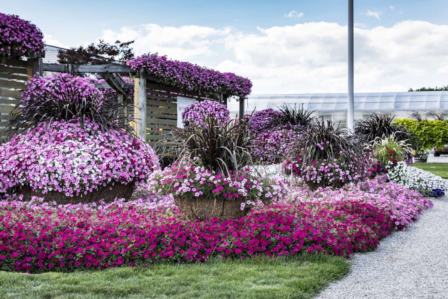 From Trial Field to Retail Bench — and Everything in Between - Lawn ...