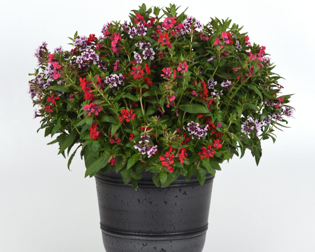 Top recommendations for shoulder-season sales - Lawn & Garden Retailer