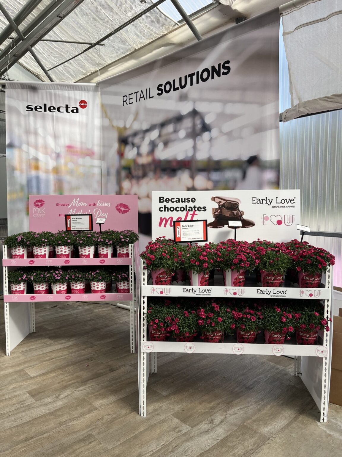 Selecta One’s dianthus series Pink Kisses and Early Love make perfect ...