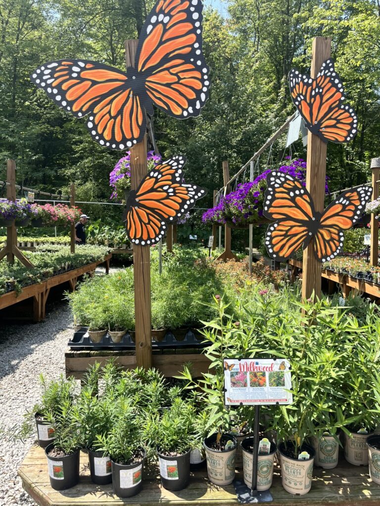 Merchandising - Lawn & Garden Retailer