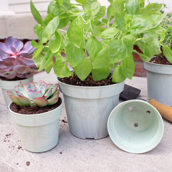 Innovative Ideas Attracting the most meaningful hires this spring ...