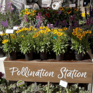 Deciphering the Color Code for More Sales - Lawn & Garden Retailer