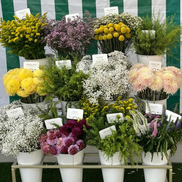 Deciphering the Color Code for More Sales - Lawn & Garden Retailer