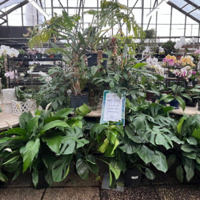 MANTS kicks off 2025 trade show season with sold-out show floor - Lawn ...