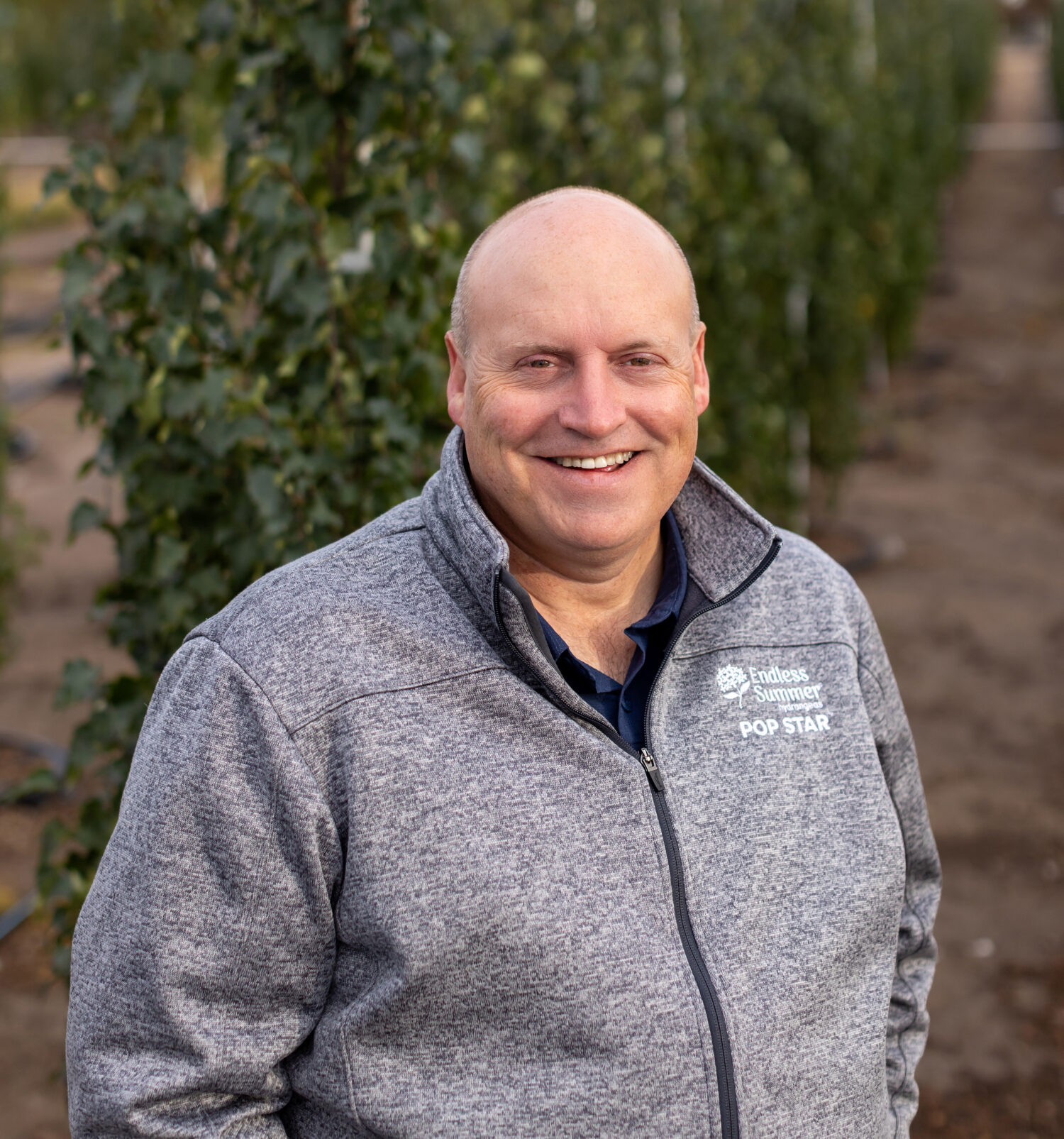 Why the hydrangea market is still blooming - Lawn & Garden Retailer