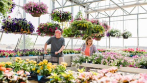 Dutch Mill Greenhouse: 2025 Innovator of the Year - Lawn & Garden Retailer