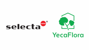 25 Selecta One geraniums available from YecaFlora - Lawn & Garden Retailer
